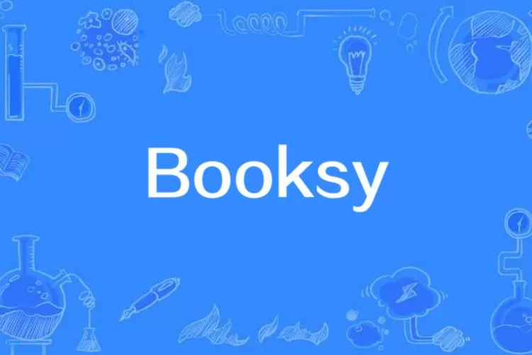 booky英文名怎么读图标