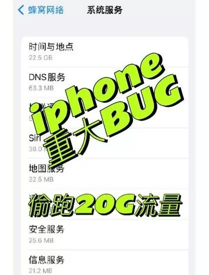 苹果流量下载软件很慢截图