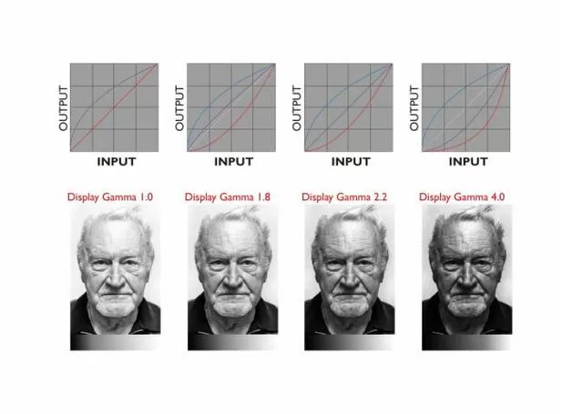 gamma2.2和2.4的区别截图