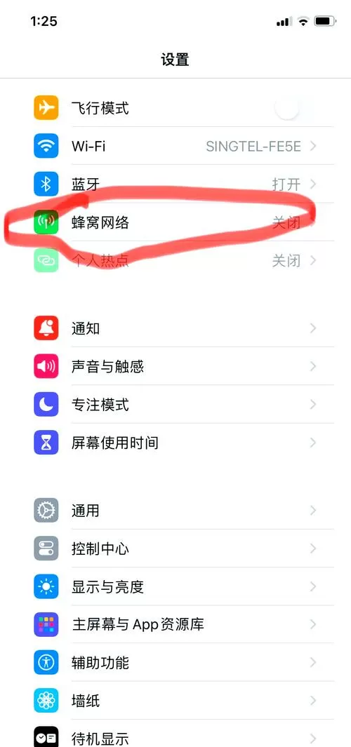 苹果11蜂窝数据怎么设置截图
