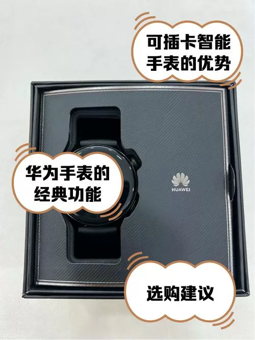华为手表可以支付吗图标