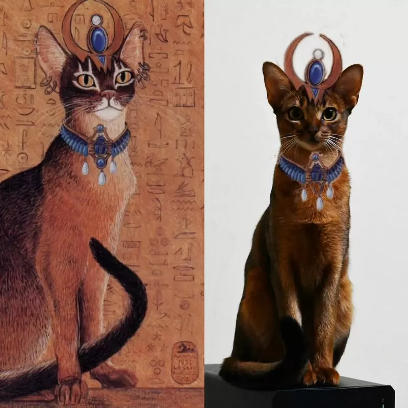 阿比西尼亚猫和埃及猫区别