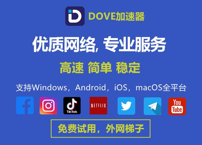DOVE加速器