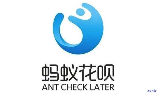 小熊花呗国际版截图