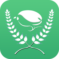 种子app截图