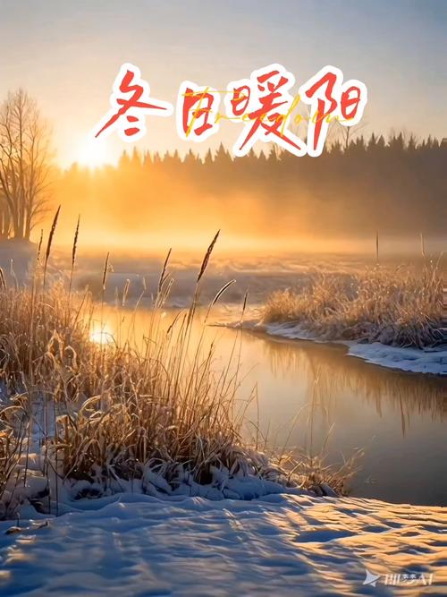 初冬暖阳最新版截图