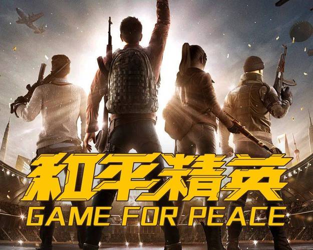公益科技和平精英中文版截图
