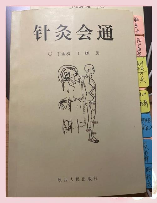 针灸国际版电子书免费阅读