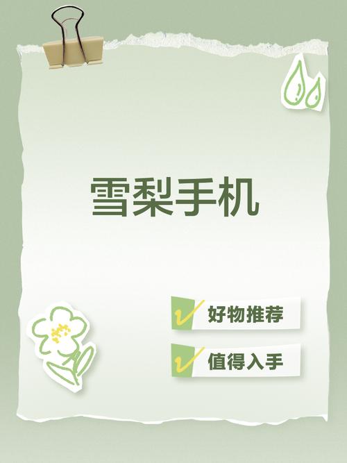 雪梨网APP无限阅读