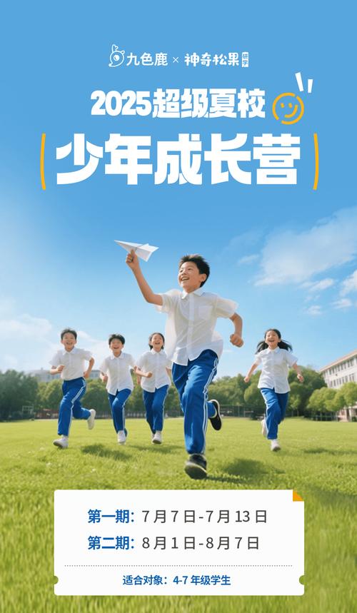 少年成长的夏天正版
