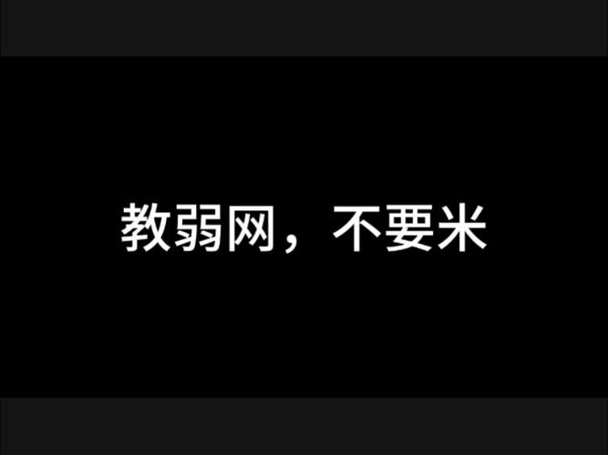 弱网无删减版截图