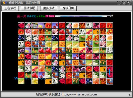 花花连连看看无限时间版截图