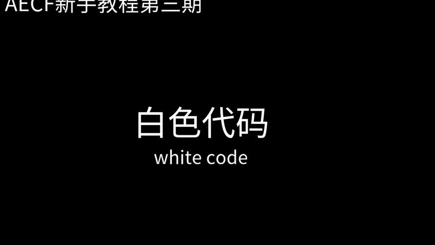 code的四种意思白色版