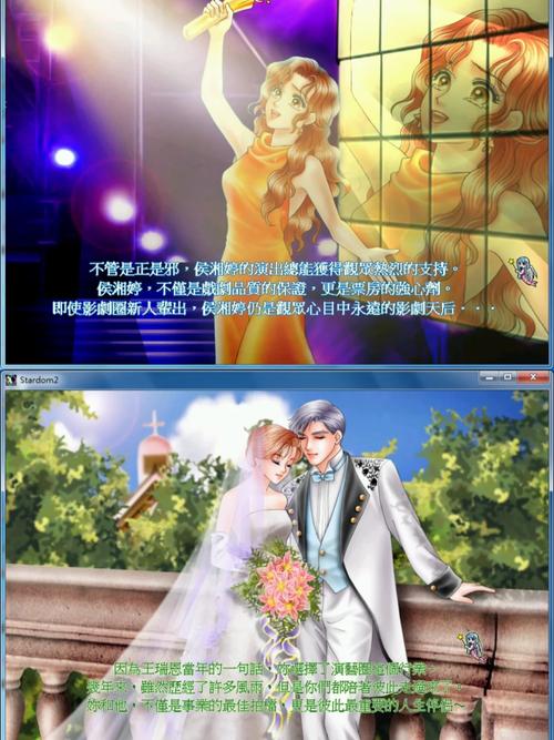 明星志愿2原版游戏光碟截图
