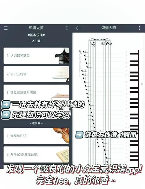 怎么在虫虫钢琴里制谱光环加速版截图