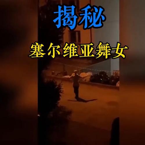塞尔维亚舞女在中国吗截图