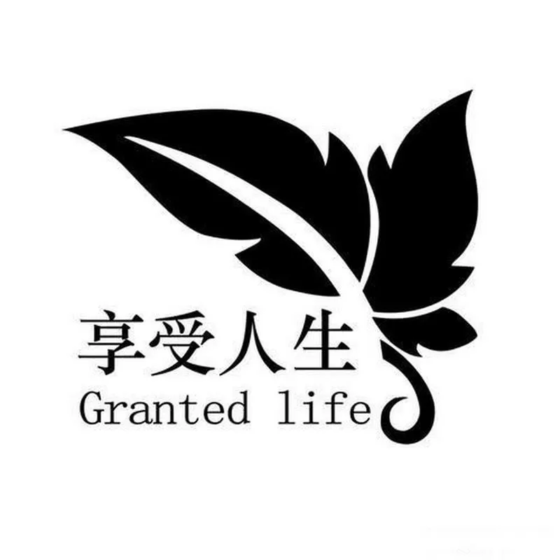 小说,幸福人生图标