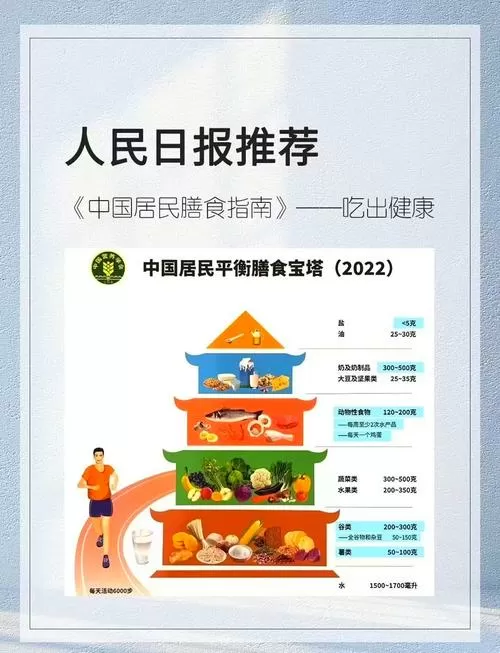 中国健康饮食指南图标