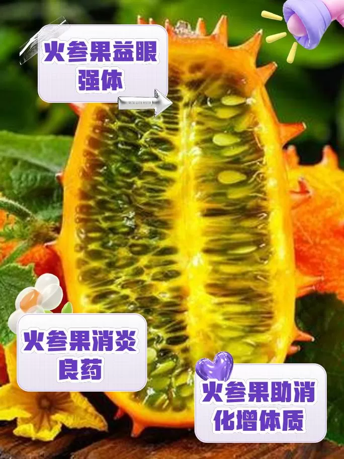 火焰果的功效图标