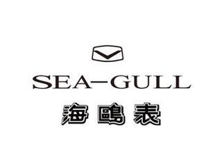 海鸥表服务中心图标