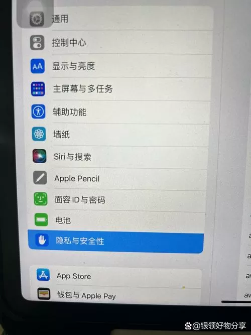 ipad电池寿命在哪看