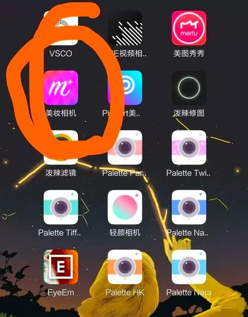 美妆相机翻白眼版本图标