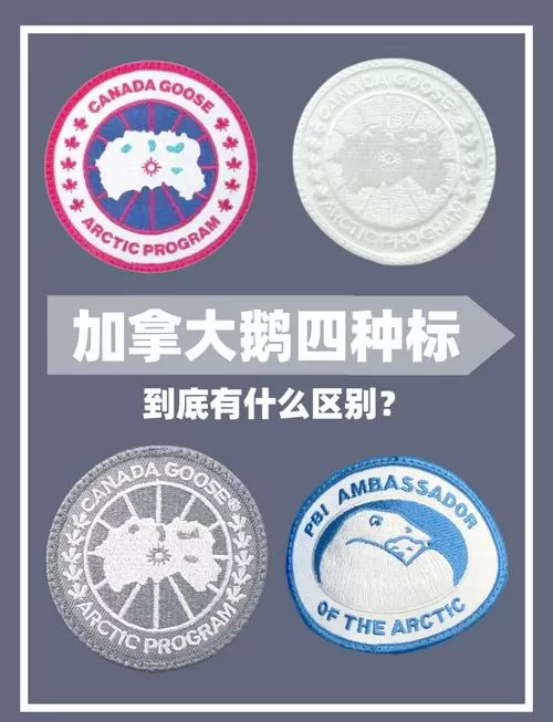 series of和a series of的区别截图