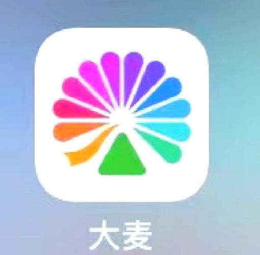 抢麦2024年免费安装无广告安装