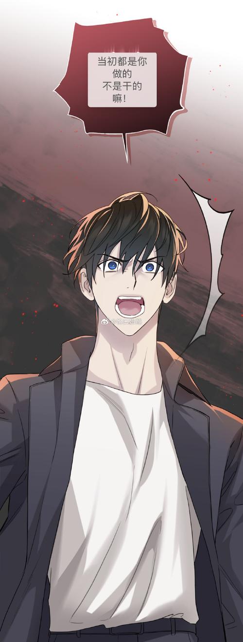 莫柏寻道辅助正版