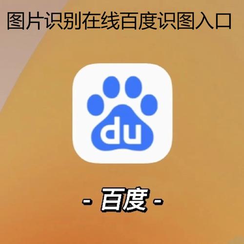 百度识图app截图
