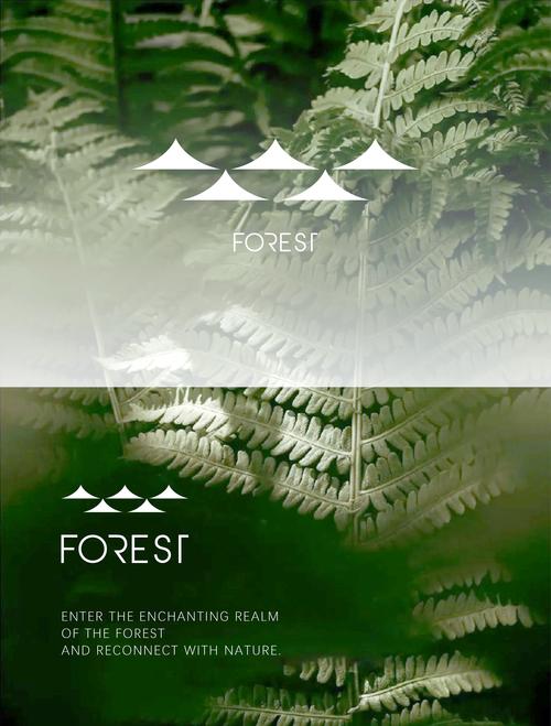 forest官方旗舰店截图
