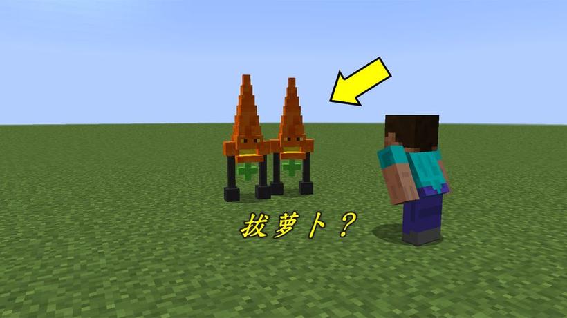我的世界拔萝卜动画视频图标
