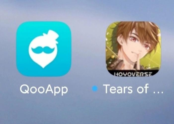韩国theqoo官网云端辅助图标