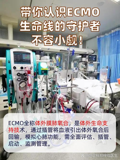ECmod挂免费版轻量版