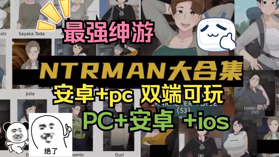 ntrman安卓移植版截图