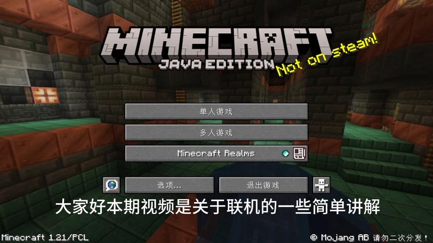 我的世界联机侠官网截图