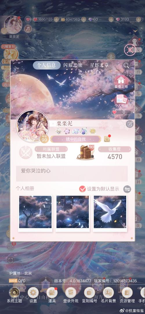 闪耀暖暖助手中文版截图