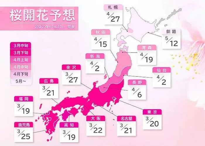 樱花更新1,038,72图标