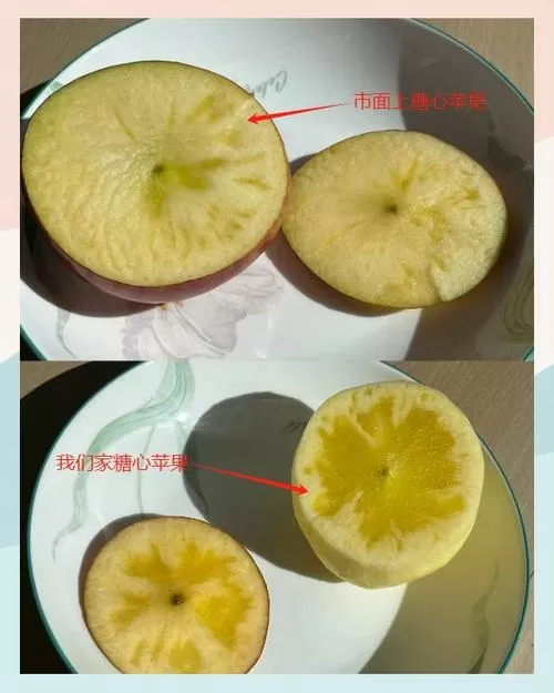 糖心苹果和普通苹果有什么区别截图