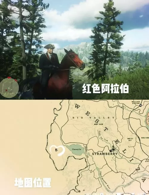 大镖客2怎么把马变成自己的