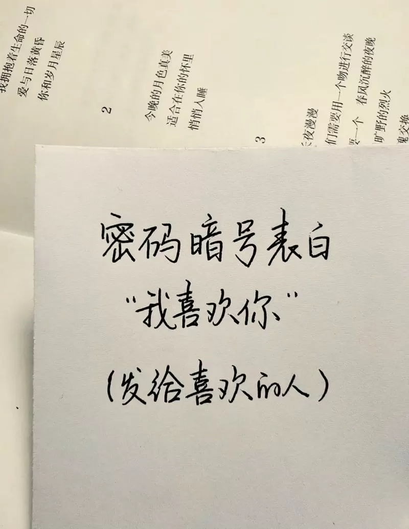高级暗语表白文案截图