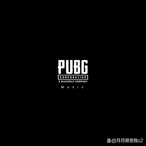 pubg第一次改名免费图标