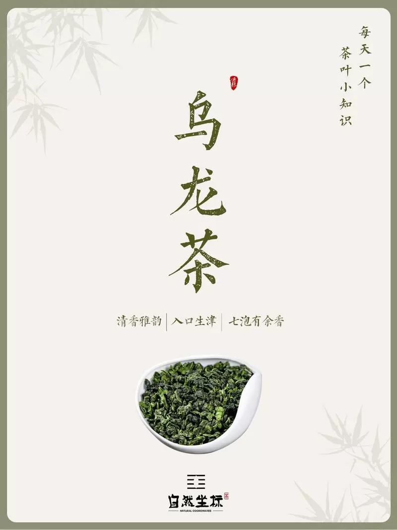 蜂蜜乌龙茶的全部小说图标