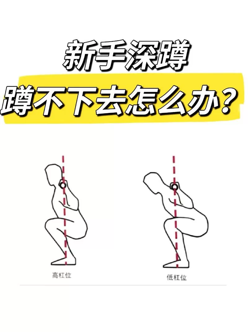 深蹲蹲不下去的原因图标