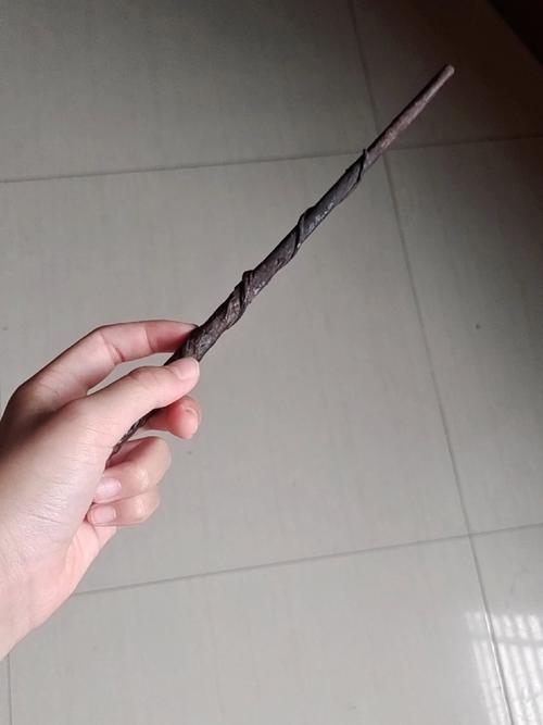 哈利波特赫敏的魔杖图标