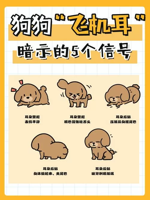 狗狗飞机耳截图