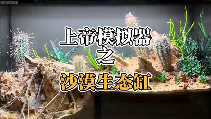 上帝模拟器(生态缸)图标