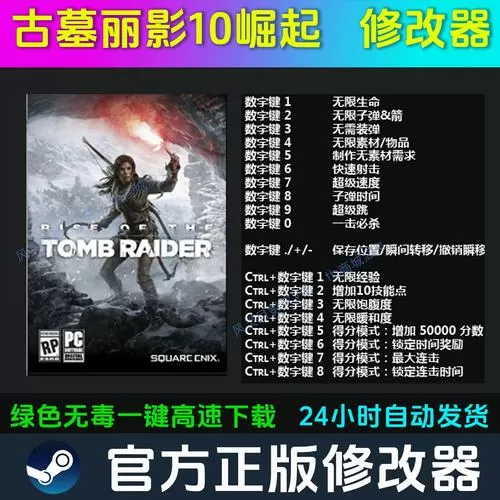 古墓丽影崛起修改器为什么用不了
