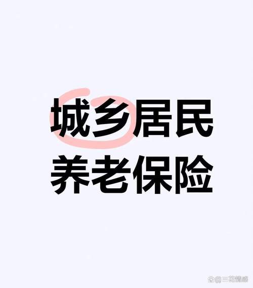 城乡居民养老基本保险截图
