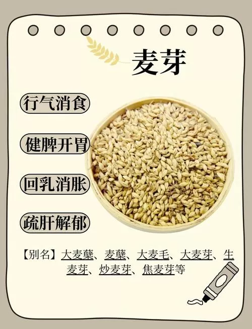 麦芽的食用方法图标